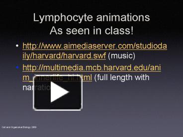 Lymphocyte animations As seen in class presentation | free to view