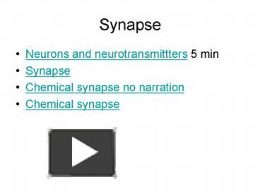 PPT – Synapse PowerPoint presentation | free to view - id: d7da7-Njk3N