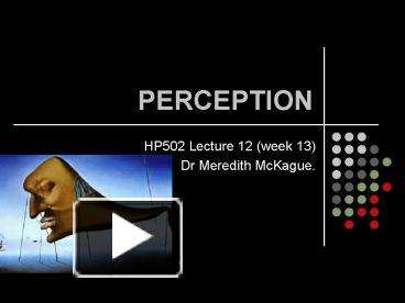 PPT – PERCEPTION PowerPoint presentation | free to view - id: da7a5-YWFhM