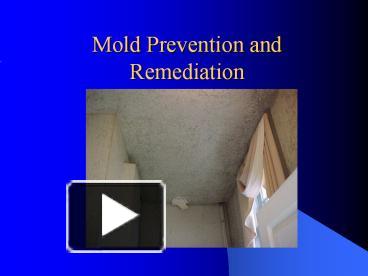 Mold Prevention and Remediation presentation | free to view