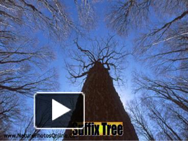 PPT – Suffix Tree PowerPoint presentation | free to download - id ...