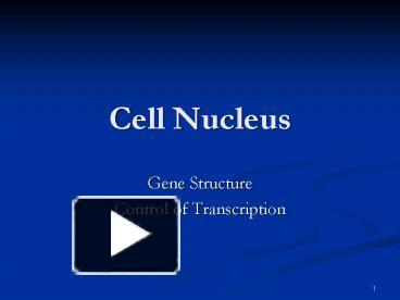 PPT – Cell Nucleus PowerPoint presentation | free to view - id: dd648-ZDc1Z