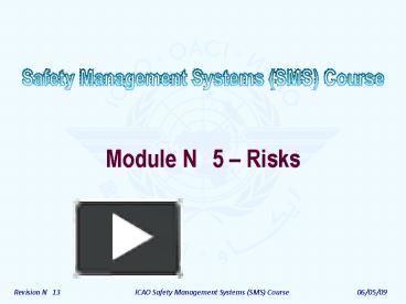 Module N 5 Risks presentation | free to view