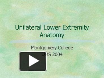 PPT – Unilateral Lower Extremity Anatomy PowerPoint presentation | free ...