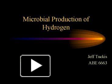 Microbial Production of Hydrogen presentation | free to view