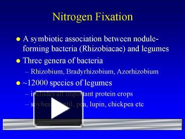 Nitrogen Fixation presentation | free to view