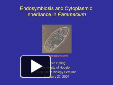 Endosymbiosis and Cytoplasmic Inheritance in Paramecium presentation ...