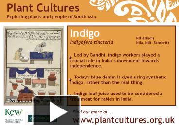 Indigo presentation | free to view