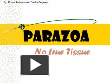 Parazoa presentation | free to view