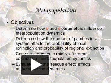 Metapopulations presentation | free to view