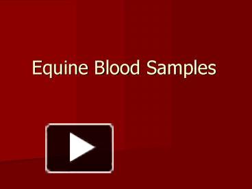 PPT – Equine Blood Samples PowerPoint presentation | free to view - id ...