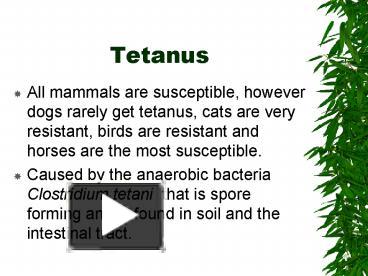 PPT – Tetanus PowerPoint presentation | free to view - id: e9a1c-ZDc1Z