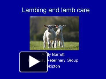 Lambing and lamb care presentation | free to view