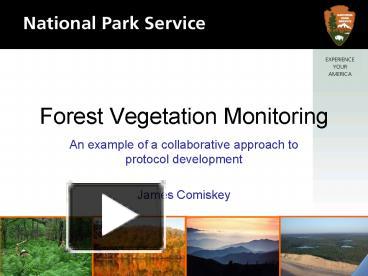 Forest Vegetation Monitoring presentation | free to view