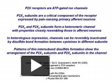 P2X receptors are ATPgated ion channels presentation | free to view