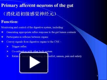 Primary afferent neurons of the gut presentation | free to view