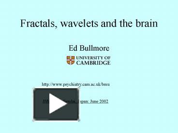 Fractals, wavelets and the brain presentation | free to view