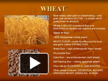 WHEAT presentation | free to view