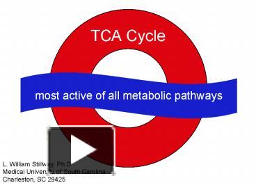 TCA Cycle presentation | free to view