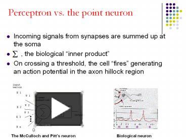 Perceptron vs. the point neuron presentation | free to download