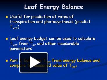 Leaf Energy Balance presentation | free to view
