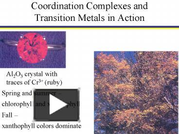 Coordination Complexes and Transition Metals in Action presentation ...