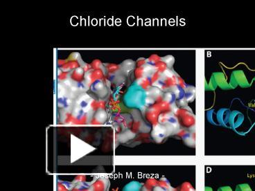 Chloride Channels presentation | free to view