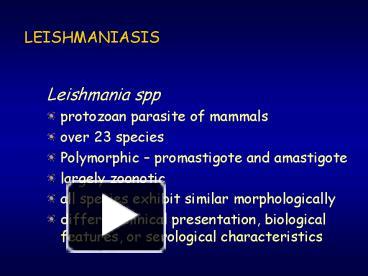 PPT – LEISHMANIASIS PowerPoint presentation | free to view - id: f16b1 ...