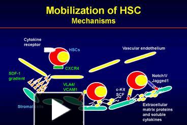 Mobilization of HSC Mechanisms presentation | free to view