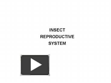 INSECT REPRODUCTIVE SYSTEM presentation | free to view