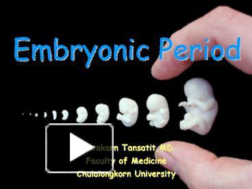 Embryonic Period presentation | free to view