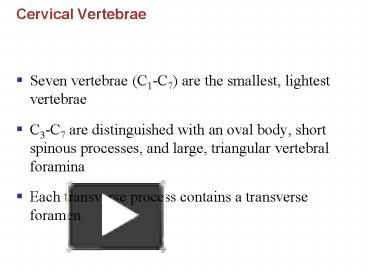 Cervical Vertebrae presentation | free to view
