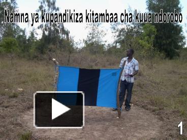 PPT – Namna ya kupandikiza kitambaa cha kuua ndorobo PowerPoint ...