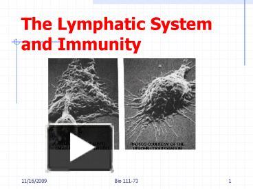 PPT – The Lymphatic System and Immunity PowerPoint presentation | free ...