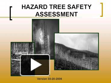 PPT – HAZARD TREE SAFETY ASSESSMENT PowerPoint presentation | free to ...