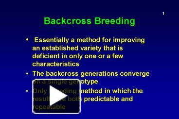 Backcross Breeding presentation | free to view