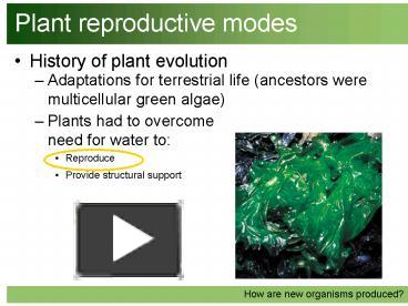 History of plant evolution presentation | free to view