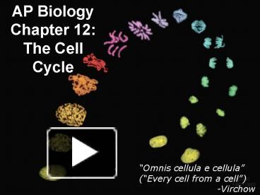 AP Biology Chapter 12: The Cell Cycle presentation | free to view