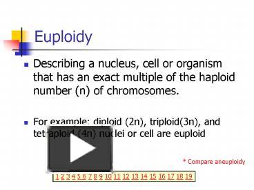 PPT – Euploidy PowerPoint presentation | free to view - id: f3e45-ZDc1Z