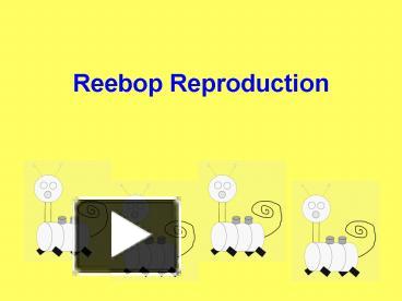 Reebop Reproduction presentation | free to view