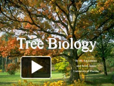 PPT – Tree Biology PowerPoint presentation | free to download - id ...