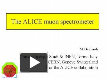 The ALICE muon spectrometer presentation | free to view