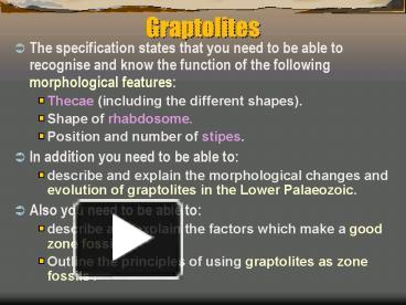 Graptolites presentation | free to view