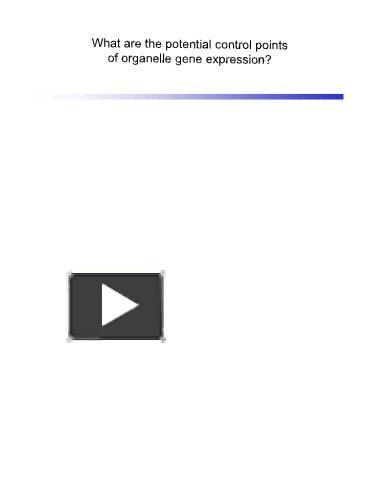 What are the potential control points presentation | free to view