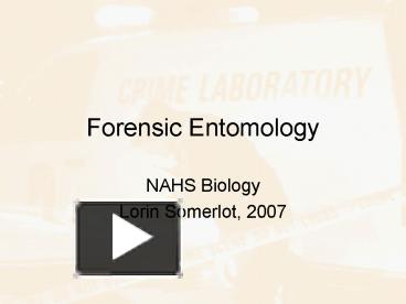 PPT – Forensic Entomology PowerPoint presentation | free to view - id ...
