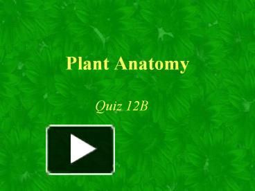 Plant Anatomy presentation | free to download