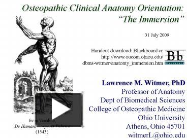 PPT – Osteopathic Clinical Anatomy Orientation: PowerPoint presentation ...