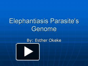 PPT – Elephantiasis Parasite's Genome PowerPoint presentation | free to ...