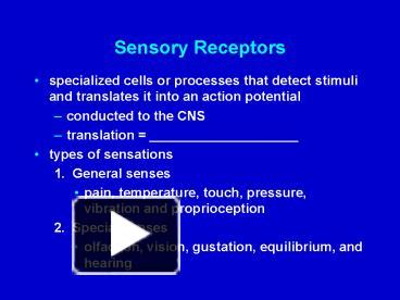 PPT – Sensory Receptors PowerPoint presentation | free to view - id ...