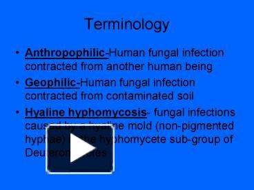 PPT – Terminology PowerPoint presentation | free to view - id: fac6c-ZTljM